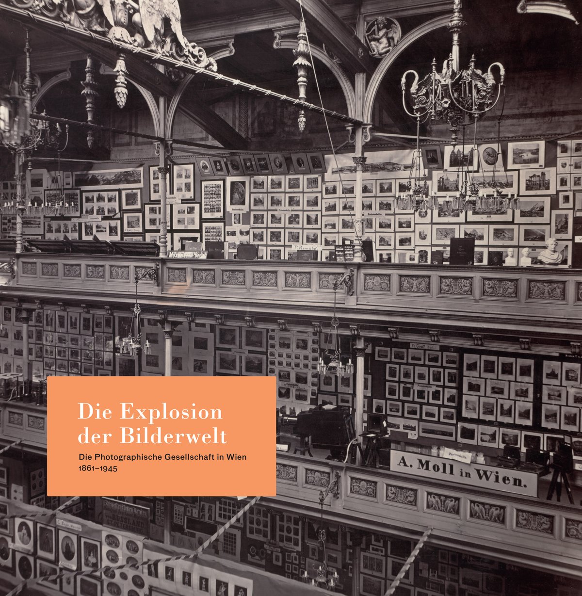 Die Explosion der Bilderwelt. Die Photographische Gesellschaft in Wien ...